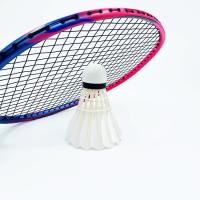 China Dmantis D7 Full Carbon Graphite Badminton Racket Shuttlecocks Birdies Professional Training Sports for sale