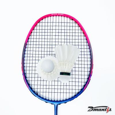 China China Factory Wholesale High Quality 5u Level Full Carbon Fiber Badminton Racket Single Piece for sale