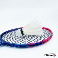 China China Factory Wholesale High Quality 5u Level Full Carbon Fiber Badminton Racket Single Piece for sale