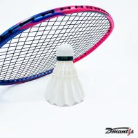 China China Factory Wholesale High Quality 5u Level Full Carbon Fiber Badminton Racket Single Piece for sale
