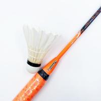 China New Design Graphite 100% Carbon Fiber Elastic Strung Racquet Offensive and Defensive PRO Badminton Racket for sale