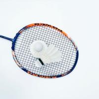 China Badminton Racket Carbon Fiber Factory Price Badminton Racket for Professional Training 100% Carbon Fiber for sale