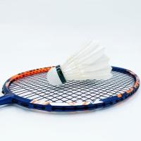 China Badminton Racket Carbon Fiber Factory Price Badminton Racket for Professional Training 100% Carbon Fiber for sale