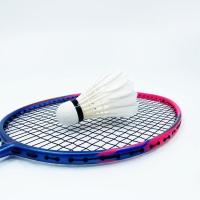 China Ultra Light Badminton Racket Carbon Fiber 6u Carbon Badminton Racket for sale