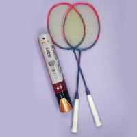 China Feather Carbon Fiber Badminton Racquet and Shuttlecocks Set Wholesale Racket Badminton with 3in1 Hybrid Badminton Shuttlecocks for sale
