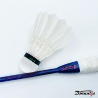 China Carbon Fiber Light Graphite Professional Top Fiber Badminton Rackets Dmantis for sale