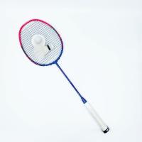 China Wholesaler 100% Full Carbon Fiber Badminton Racket OEM Customized Color and Design for sale