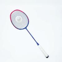 China Carbon Fiber 5u Light Graphite Professional Top Fiber Badminton Rackets with Light Weight for sale