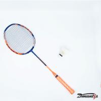 China Dmantis Brand Factory Portable and Professional Badminton Racket Manufacture China for Outdoor and Indoor Activity for sale