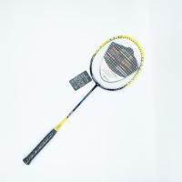 China Hot Selling Dmantis Brand Factory OEM Carbon Badminton Racket for sale