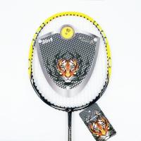 China Hot Selling Dmantis Brand Factory OEM Carbon Badminton Racket for sale