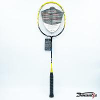 China DMS45 Whole Sale Price Carbon Fiber Professional Badminton Rackets with Carry Bag Batminton Racquet for sale