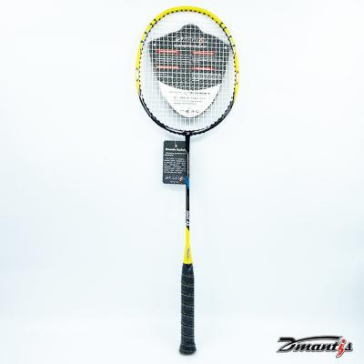 China 2 Player Badminton Racket Carbon Badminton Racket Set with Carry Bag Strength Training Trainer for sale
