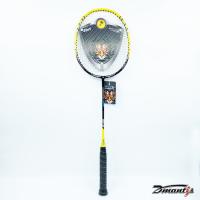 China 2 Player Badminton Racket Carbon Badminton Racket Set with Carry Bag Strength Training Trainer for sale