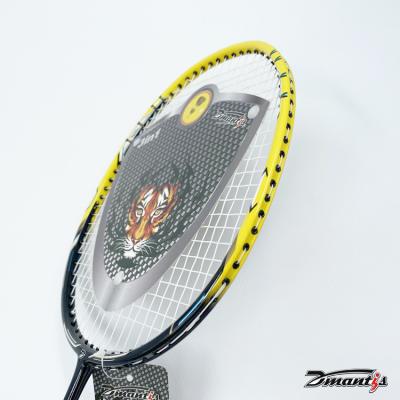 China DMS45 Sports Badminton Rackets Carbon Badminton Racket Set or Backyard or Outdoor Games Manufacturer Supply for sale