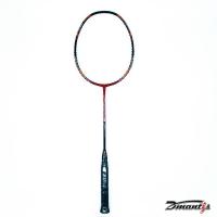 China Dmantis Best Quality 100% Carbon Badminton Rackets Professional Factory OEM Available for sale