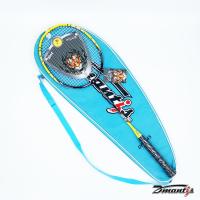 China Hot Selling Dmantis Brand Factory OEM Carbon Badminton Racket DMS45 for sale