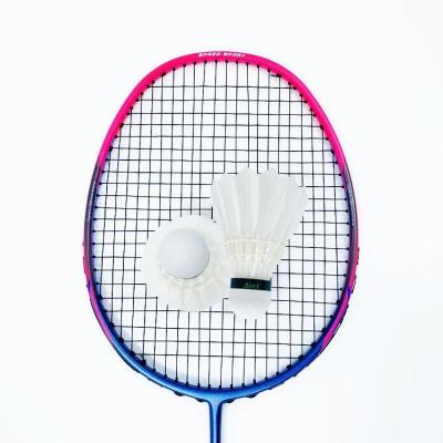 China Manufacturer Design Dmantis Brand Full Carbon Badminton Racket Training Type for sale