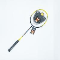 China High-Grade Professional Carbon Fiber Badminton Racket Dmantis Badminton Racquet for sale