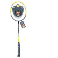 China High-Grade Professional Carbon Fiber Badminton Racket Dmantis Badminton Racquet for sale