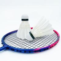 China Dmantis D7 Model Wholesale Supply Training Equipment Badminton Racket China Factory Sale Customization for sale