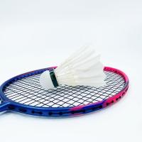 China Dmantis D7 Model Wholesale Supply Training Equipment Badminton Racket China Factory Sale Customization for sale