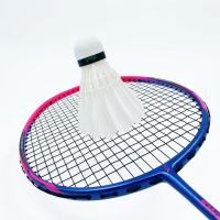 China 5u Wholesale Low Price Full Carbon Raquette Badminton Raquete for Racket Training for sale