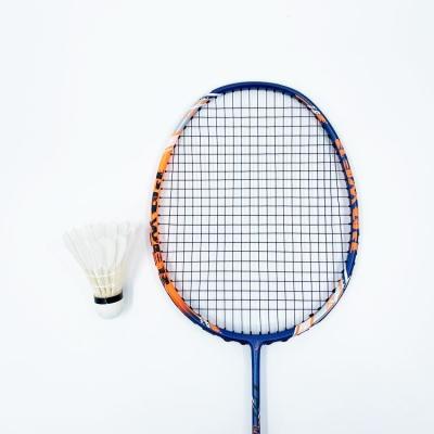 China Professional Factory Customized D9 100% Carbon Fiber Badminton Rackets in High Tension for sale