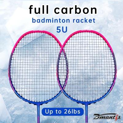 China Light Weight Professional Full Carbon Badminton Racket D9100% Carbon Rackets Suitable for Women Men for sale