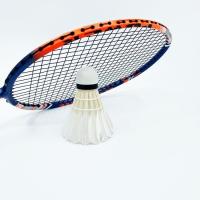 China Light Weight Professional Full Carbon Badminton Racket D9100% Carbon Rackets Suitable for Women Men for sale