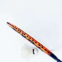 China Best Quality 100% Carbon Dmantis Brand Badminton Rackets D9 Professional Factory OEM Available for sale