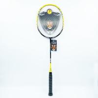 China Dmantis Brand Superior Quality Carbon Fiber Badminton Bat Badminton Racket for sale