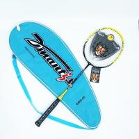 China Dmantis Brand Superior Quality Carbon Fiber Badminton Bat Badminton Racket for sale