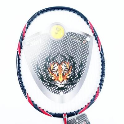 China China Factory Dmantis DMS55 Badminton Racket China Brand Good Quality High Level for sale