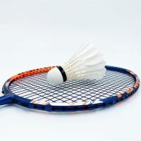 China Dmantis D9 5u Weight High Tension Carbon Fiber Badminton Racket for sale