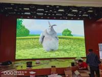 China OEM P2 Full Color Indoor Led Display Screen For Meeting Room 250000Pixel for sale