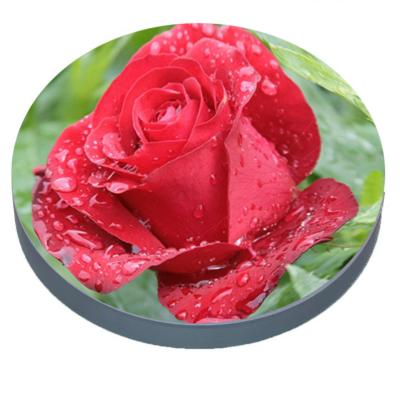 China P2.5 Circle Full Color Led Display Round Screen Flexible Video Wall Panel for sale