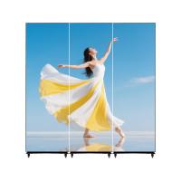 China LED Poster Display Screen Portable Digital led screen for Events and Shopping Mall for sale