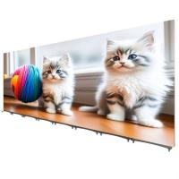 China Dual-Sided Foldable LED Poster/Standing LED Advertising Screen for sale
