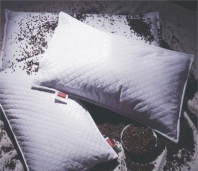 China Hotel & Guesthouse Use Cotton & Polyester Fiber Neck Pillow with Ordinary Fiber Filling for Student Dormitory for sale