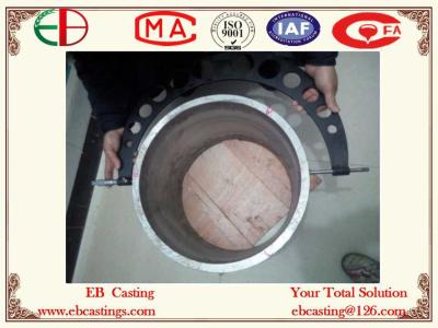 China EB13019 Centrifugally Cast Duplex Stainless Steel SAF2205 Valve & Pump Parts for sale