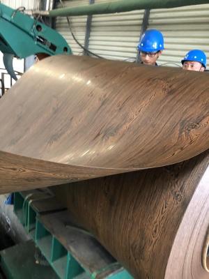 China Color Coated Pre Painted Steel Sheet Coil With 300 - 450Mpa Tensile Strength for sale