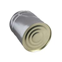 China Matched Handle / Lid Iron Metal Paint Can For Seeds With Printing for sale