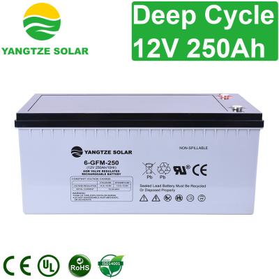 China Custom Deep Cycle AGM Gel Battery 12V 250Ah for sale