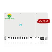 China Yangtze 110KW On Grid Photovoltaic Solar Inverter 3 Phases Output for sale