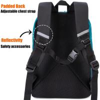 China New Fashion Wholesale Price Boys Toddler Schoolbag with Different Inches Backpack for sale