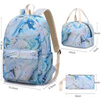 China Interior Compartment Multi-Layer Girl Backpack With Lunch Box Pencil Case Elementary School Bags for sale