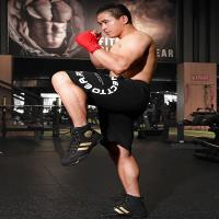 China Men Sanda Fighting Training Shoes Professional Fitness Taekwonting Fighting shoes for sale