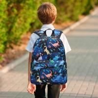 China Boy Backpack Dinosaur Boy Backpack Children Backpack Set With Lunch Box And Pencil Case for sale