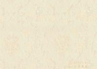 China PET Heat Transfer Printing Film 40cm x 500m for PVC Decoration Wood Grain Marble for sale